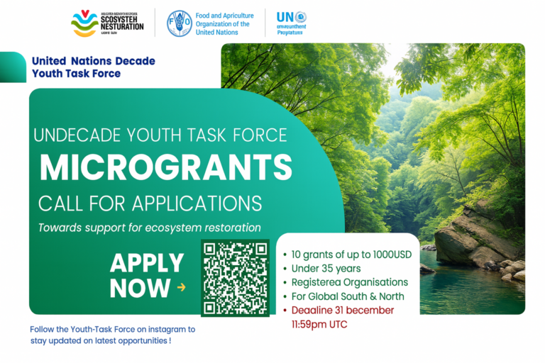 Call for Applications: United Nations Decade Youth Task Force (YTF ...